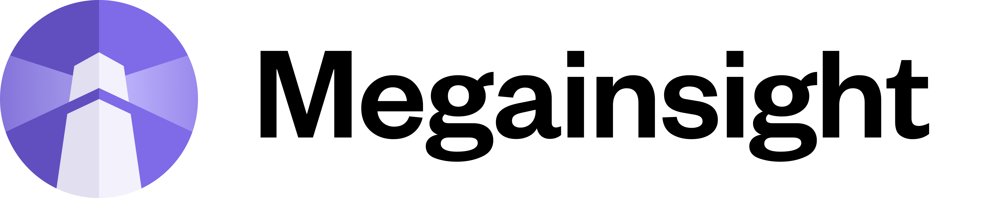 Megainsight - Автоматизация для ритейла